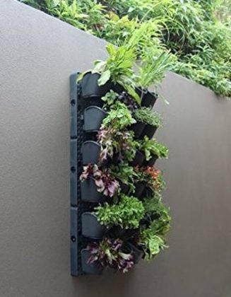Tips and Tricks for Creating an Indoor-Outdoor Vertical Garden