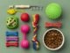 Make Adoption Day Smooth with this New Puppy Checklist - Trendy Mami
