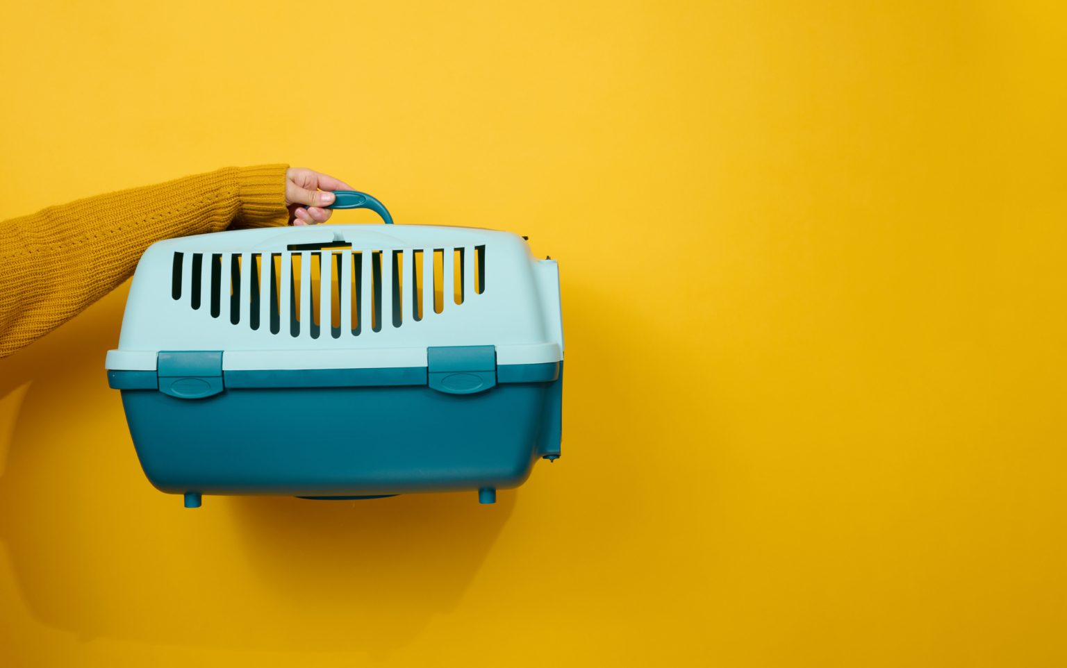 Make Adoption Day Smooth with this New Puppy Checklist - Trendy Mami